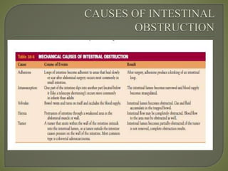 Intestinal obstruction surgery adult health nursing.pptx | Digestive ...