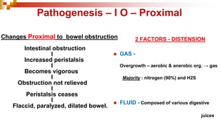 Intestinal Obstruction - Types, C/F & Management | PDF