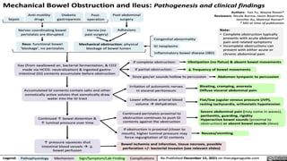 Intestinal Obstruction - Types, C/F & Management | PDF