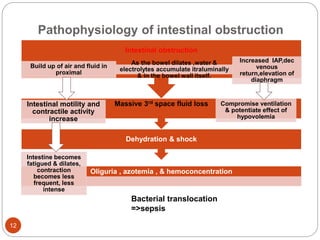 Intestinal Obstruction in Adults 2023 final-1.pptx