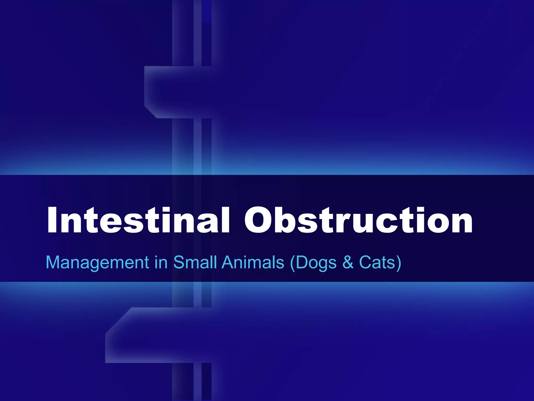 Intestinal obstruction in small animals | PPT