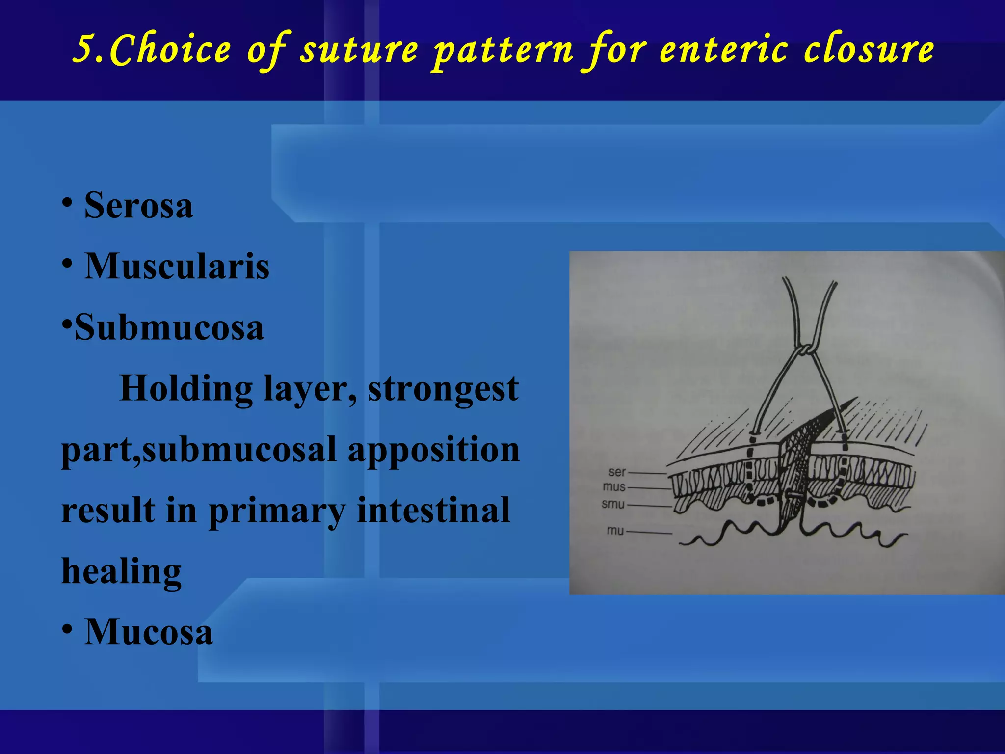 Intestinal obstruction in small animals | PPT