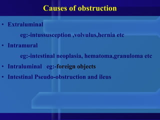 Intestinal obstruction in small animals | PPT