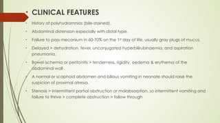 INTESTINAL OBSTRUCTION NEW.pdf dr.wissam | PPT