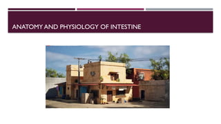 INTESTINAL OBSTRUCTION ppt [Autosaved].pptx