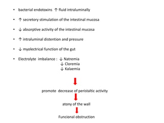 INTESTINAL OCCLUSION.pptx