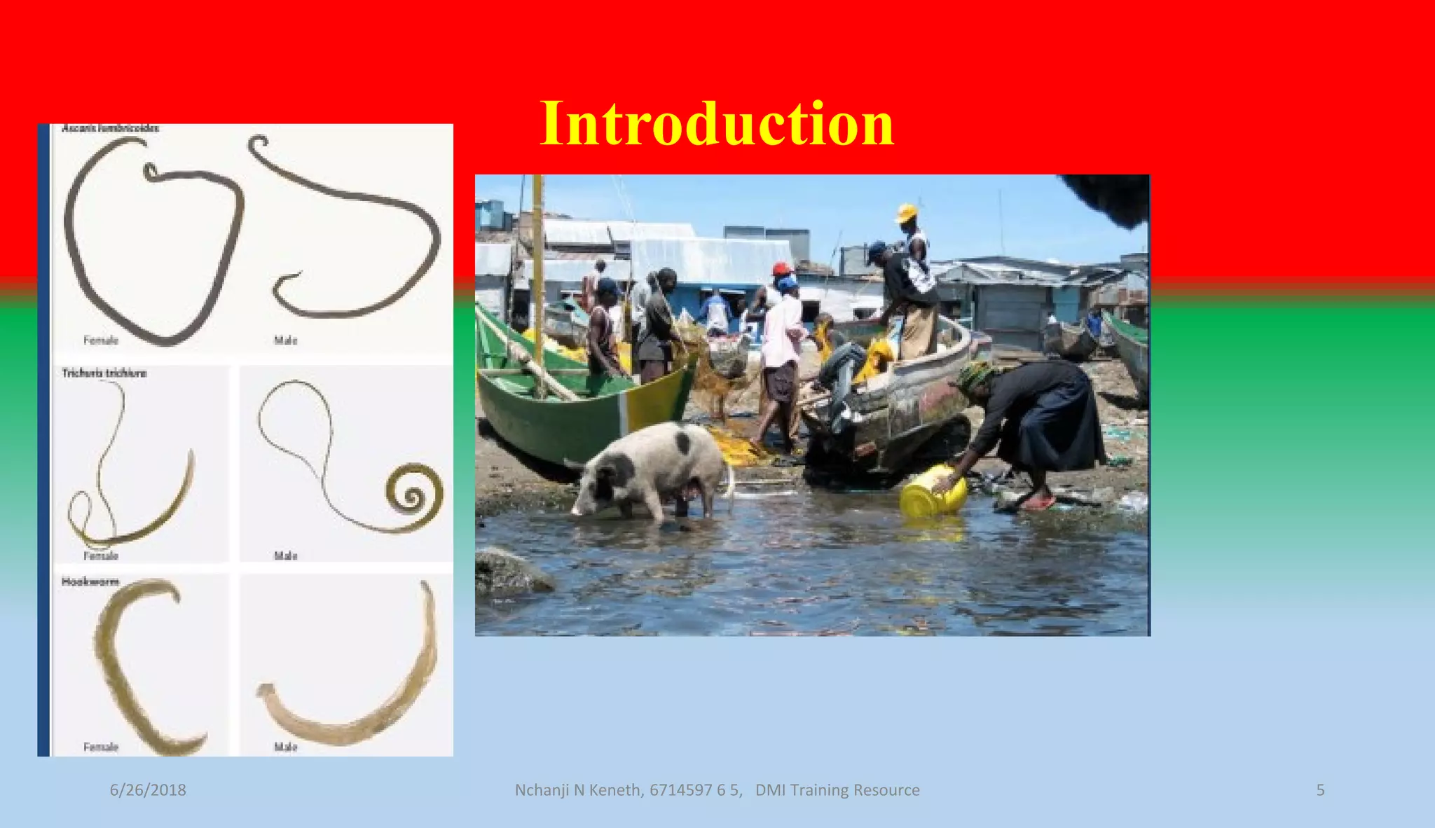 Understanding Intestinal Parasites MDIRT Nchanji Nkeh Keneth | PPT