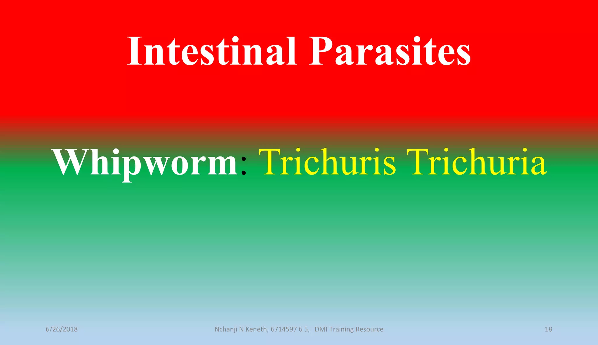 Intestinal Parasites, Nchanji Nkeh Keneth | PDF