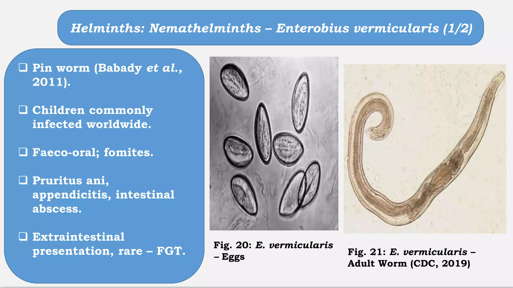 Intestinal parasites | PPTX