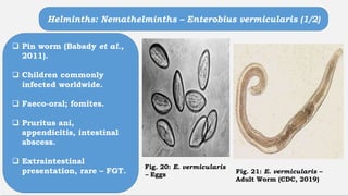 Intestinal parasites | PPTX