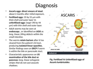 INTESTINAL PARASITES- Trematodes, Cestodes, and Nematodes, | PPTX