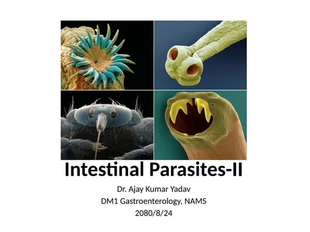 INTESTINAL PARASITES- Trematodes, Cestodes, and Nematodes, | PPTX