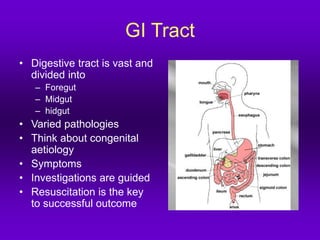 Intestinal pathologies in pediatrics surgery | PPT