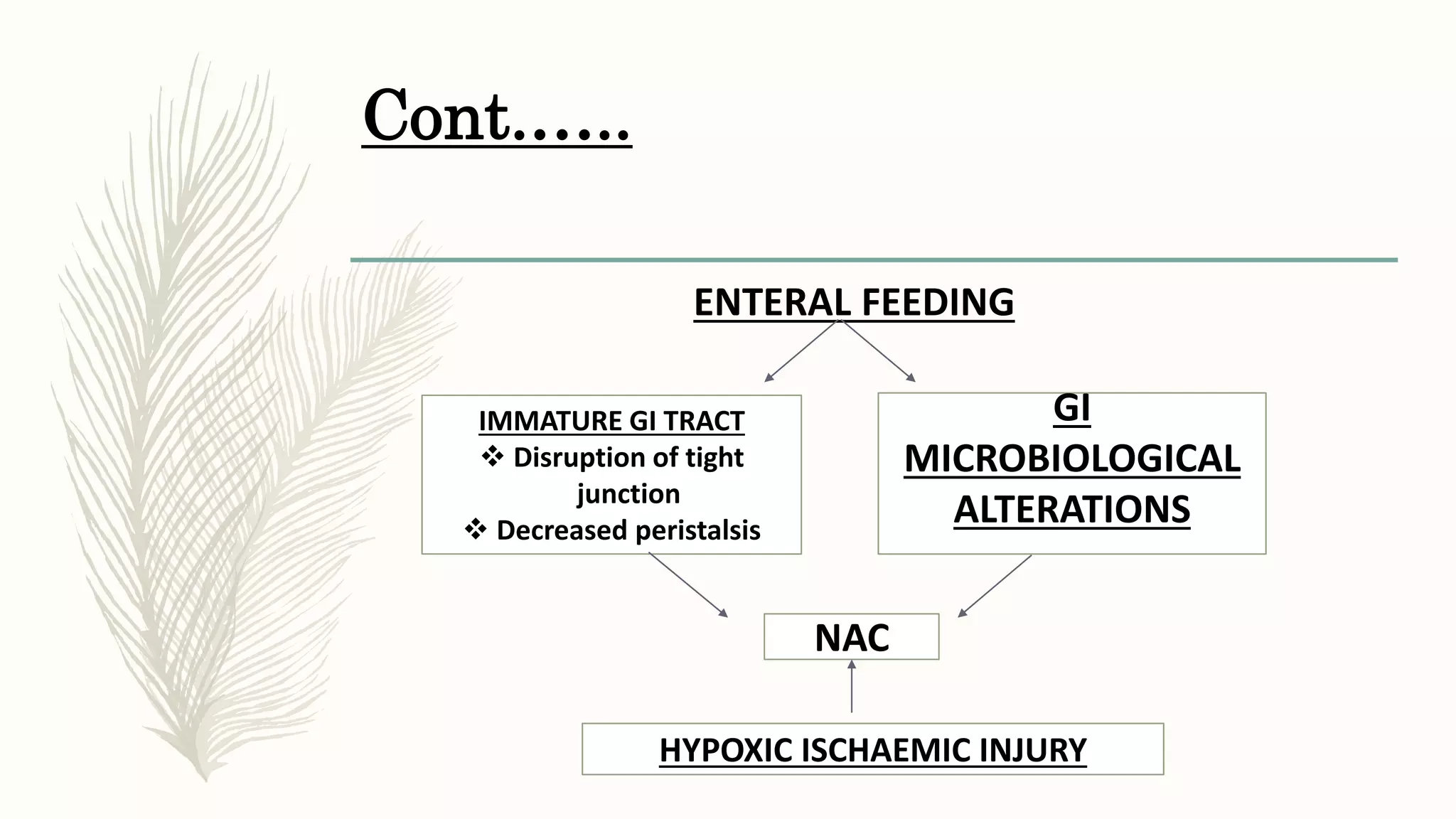 case presentation on Intestinal perforation | PPTX