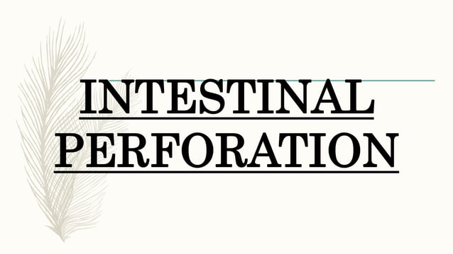 case presentation on Intestinal perforation | PPTX | Pregnancy ...