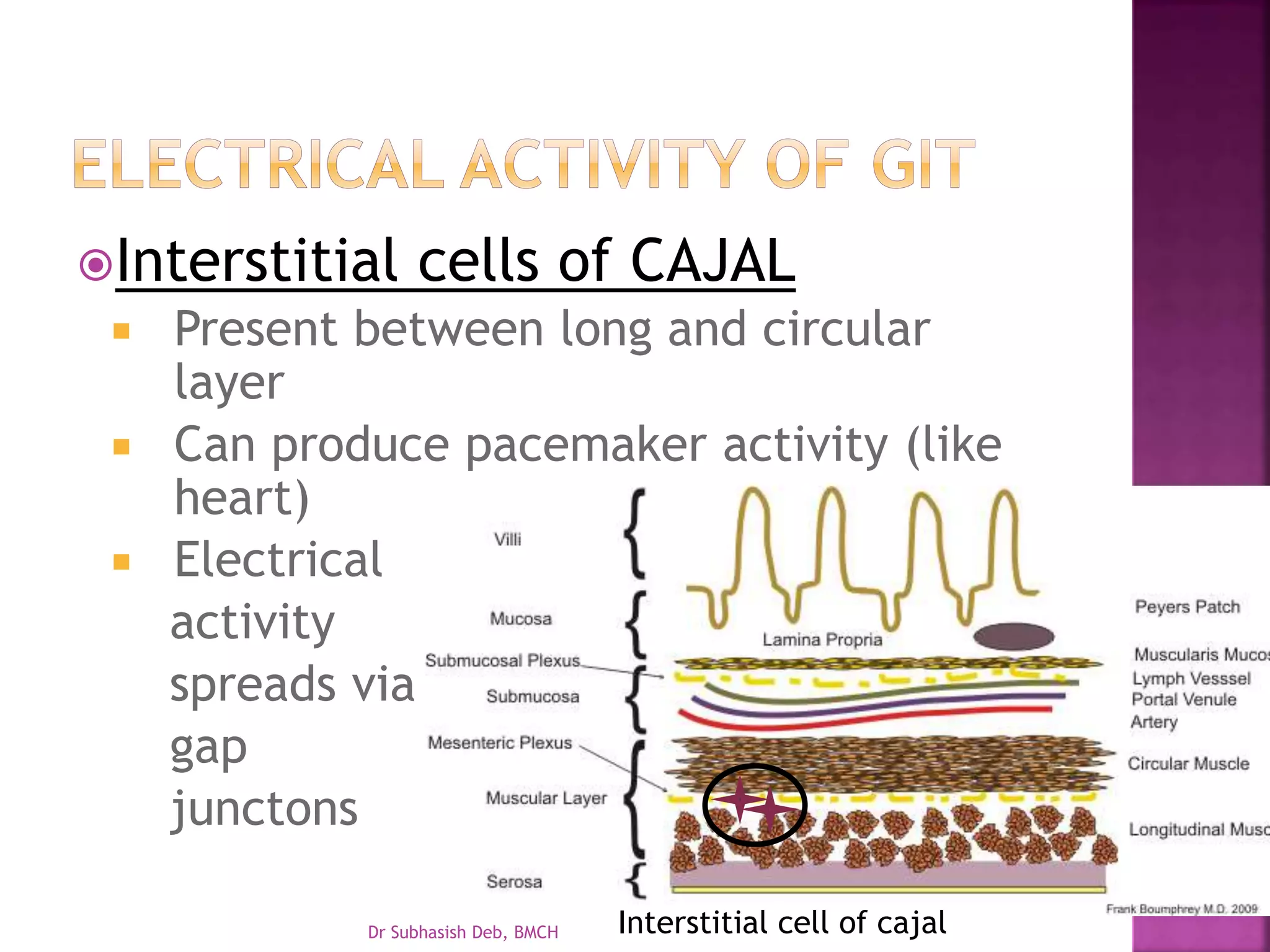 Intestinal peristalsis physiology and motility disorders | PPTX
