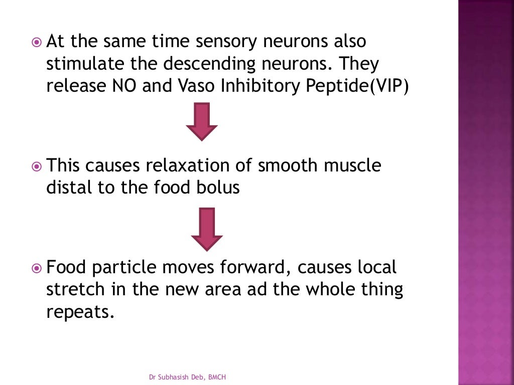 Intestinal peristalsis physiology and motility disorders