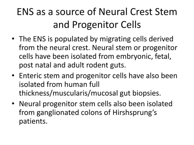 Intestinal regeneration biology approach | PPTX
