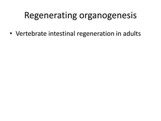 Intestinal regeneration biology approach | PPTX