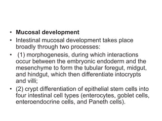 Intestinal regeneration biology approach | PPTX