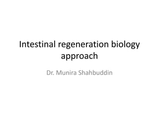 Intestinal regeneration biology approach | PPTX