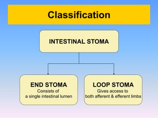 Intestinal stomas | PDF