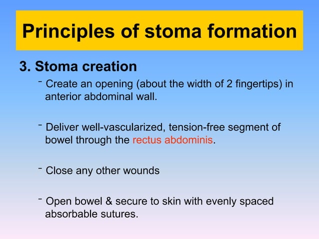 Intestinal stomas | PDF