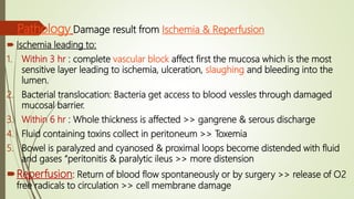 Intestinal ( Bowel) strangulation | PPTX