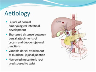 Mesenteric torsion pathology and management | PPT | Blood Disorders ...
