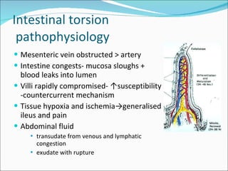 Mesenteric torsion pathology and management | PPT | Blood Disorders ...