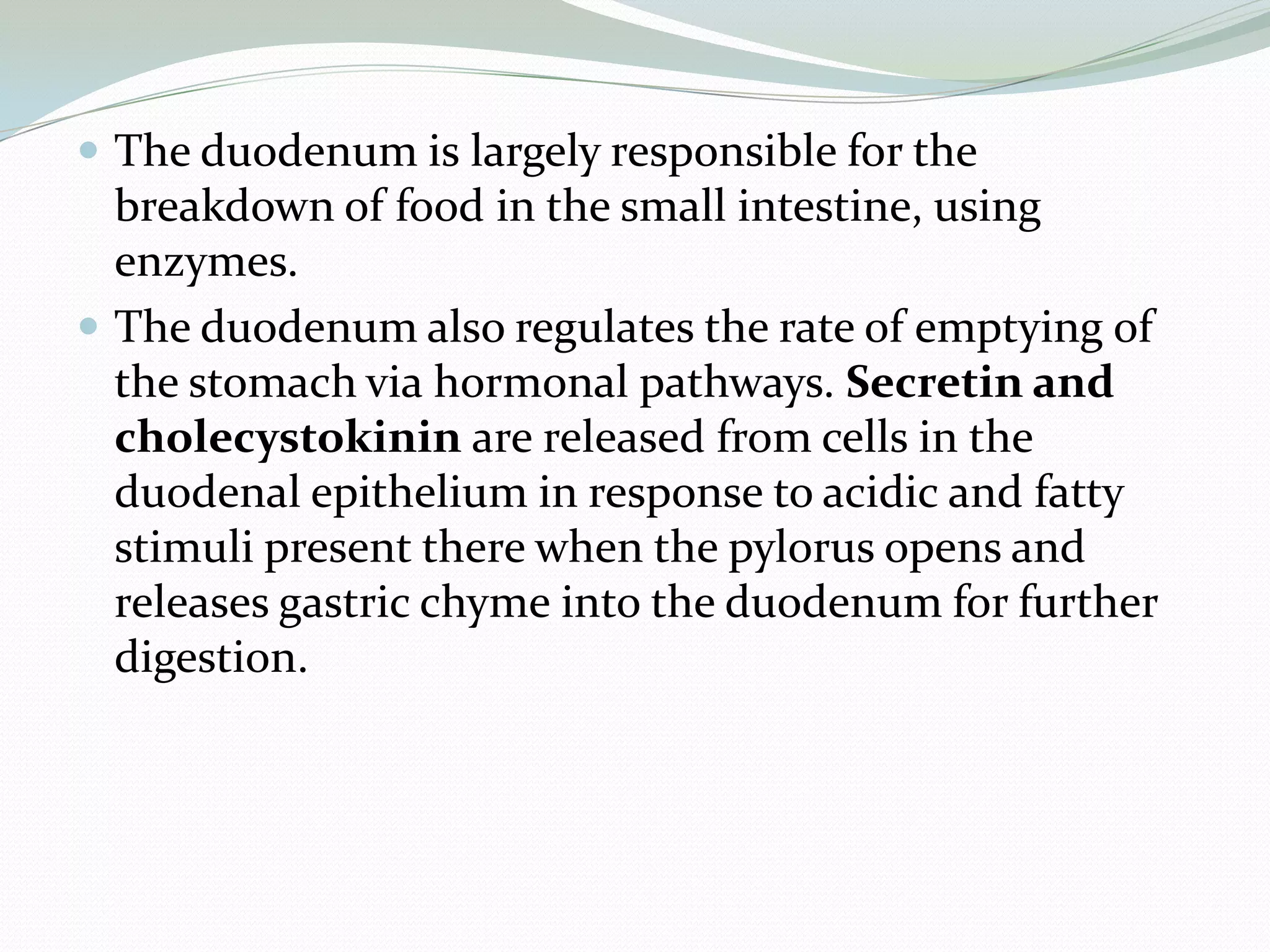 Intestinal Ultrasound | PPTX