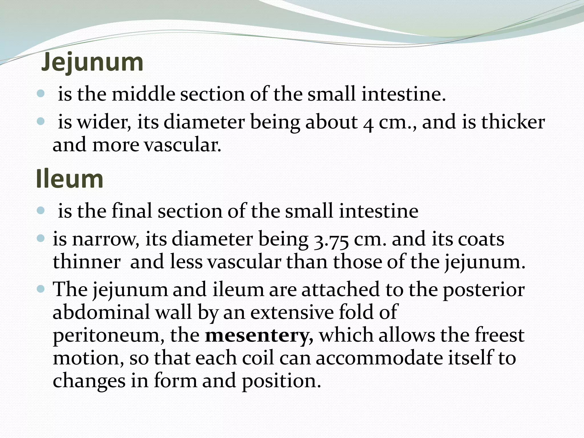 Intestinal Ultrasound | PPTX