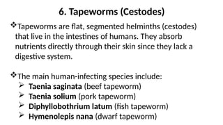 MUMAN PARASITES, INTESTINAL WORMS, EG CESTODES | PPTX