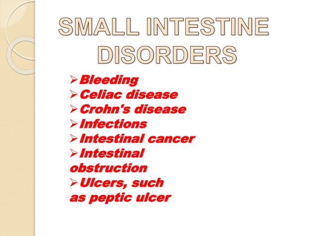 APPLIED AND BASIC INTRO OF SMALL INTESTINE | PPTX