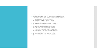 small and large intestine pp presentation | PPTX