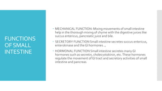 small and large intestine pp presentation | PPTX