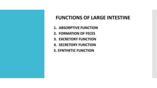 small and large intestine pp presentation | PPTX