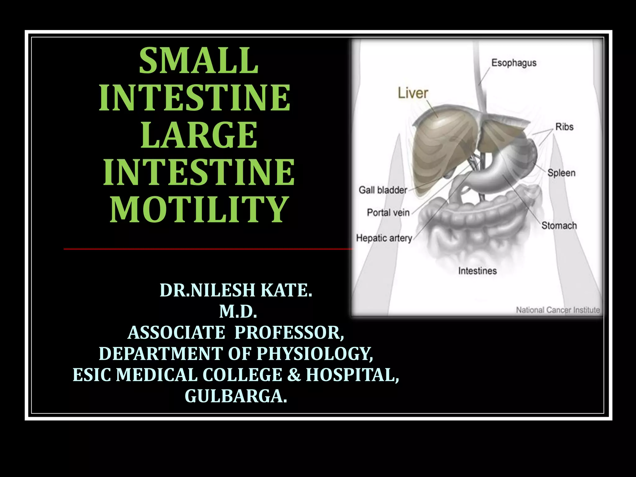INTESTINE MOTILITY | PPT