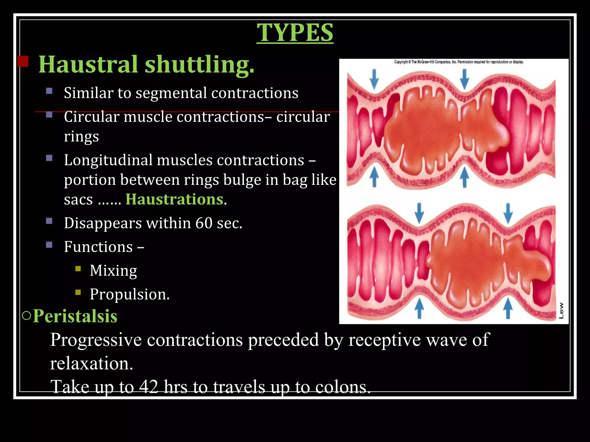 INTESTINE MOTILITY | PPT