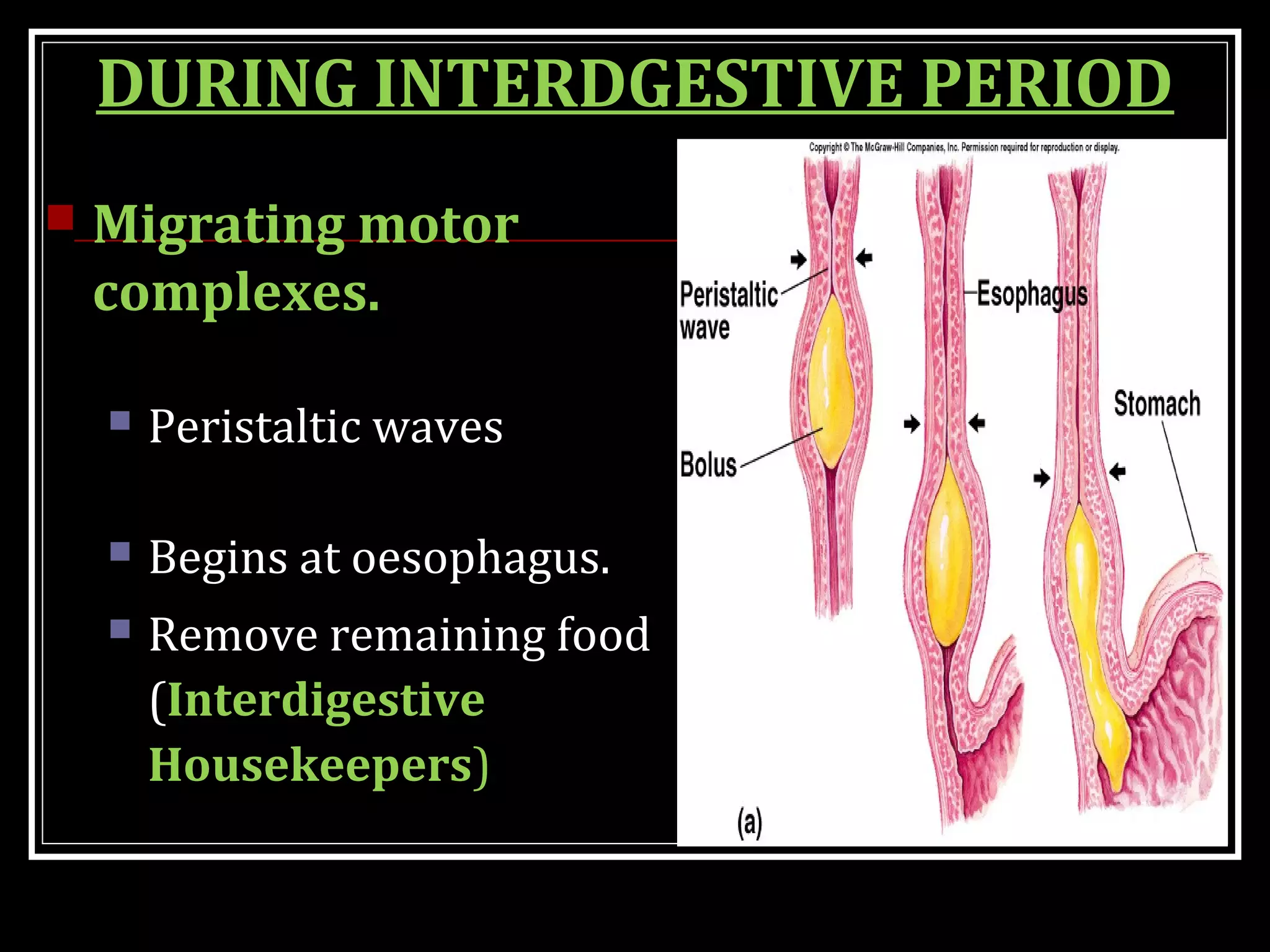 INTESTINE MOTILITY | PPT