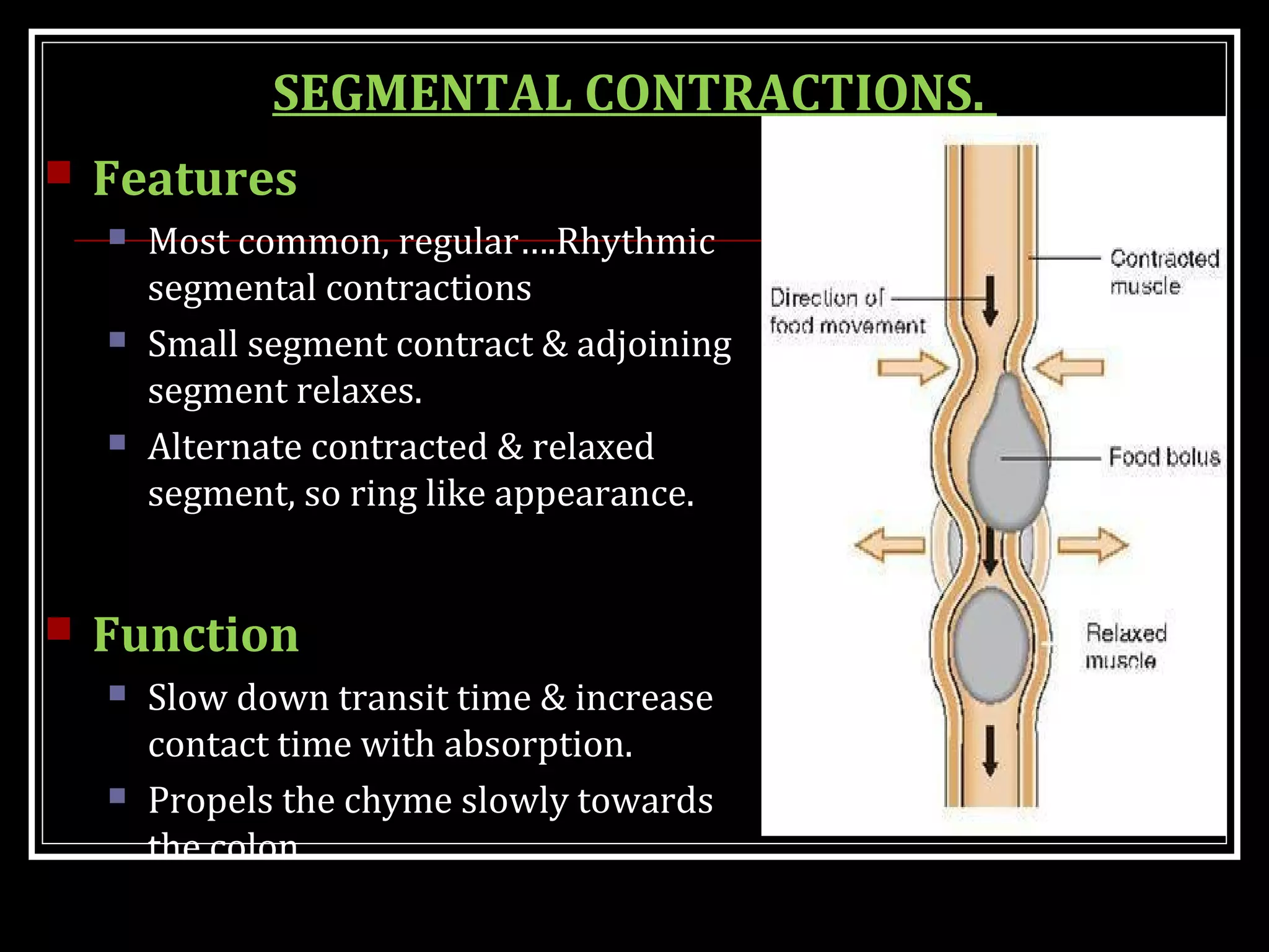 INTESTINE MOTILITY | PPT