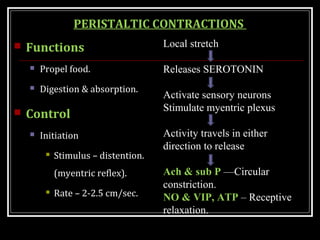 INTESTINE MOTILITY | PPT