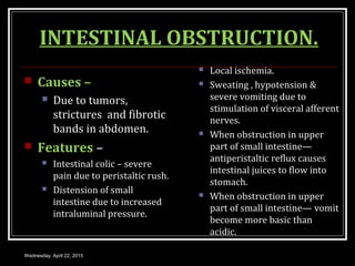 INTESTINE MOTILITY | PPT