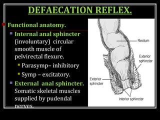 INTESTINE MOTILITY | PPT