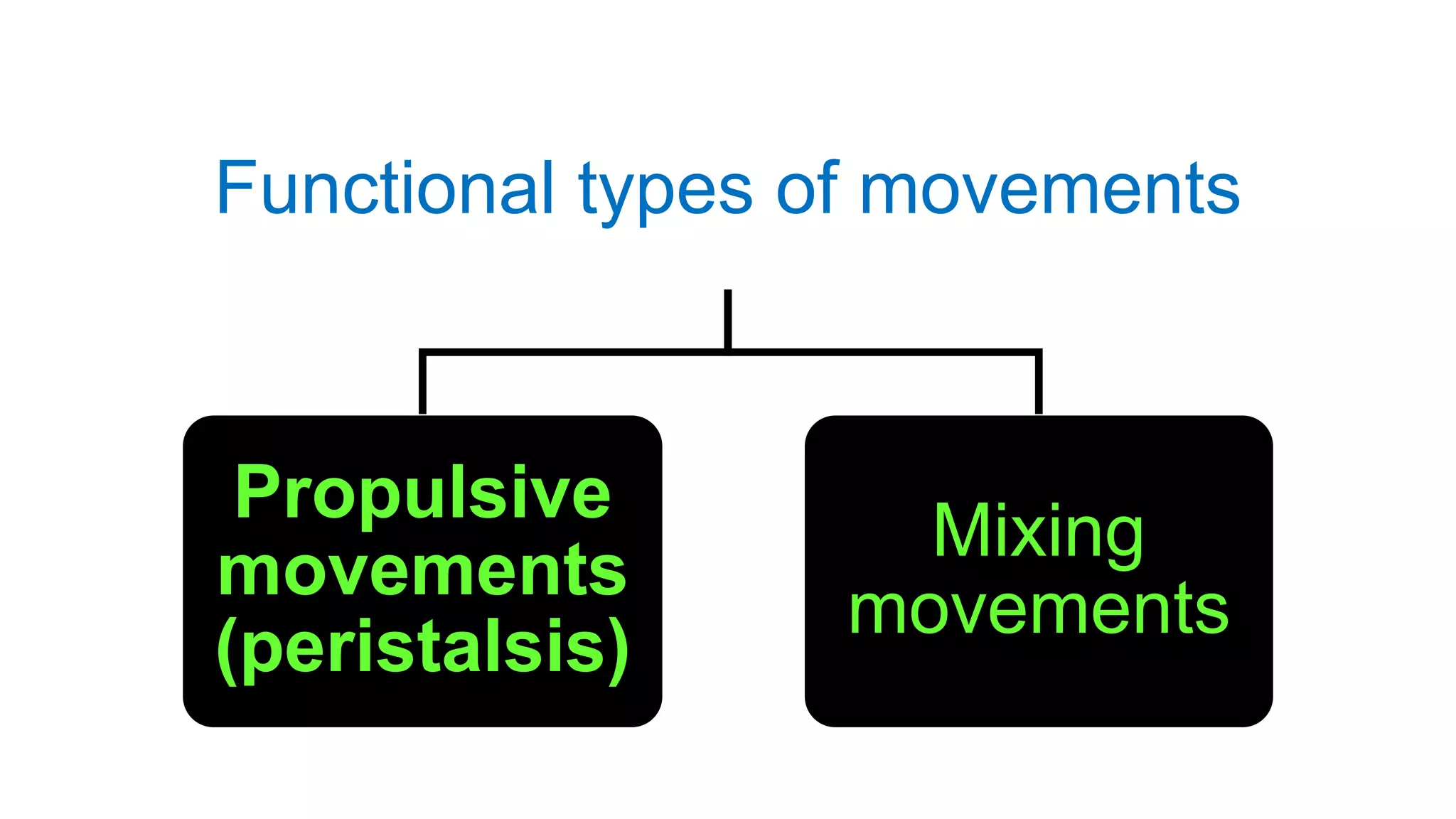 Intestines(movements and secretions of small and large intestines ) The ...
