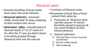 Intestines(movements and secretions of small and large intestines ) The ...