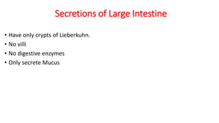 Intestines(movements and secretions of small and large intestines ) The ...