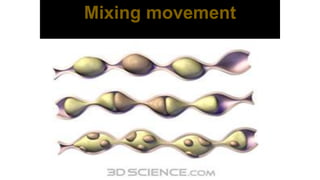Intestines(movements and secretions of small and large intestines ) The ...