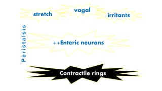 Intestines(movements and secretions of small and large intestines ) The ...