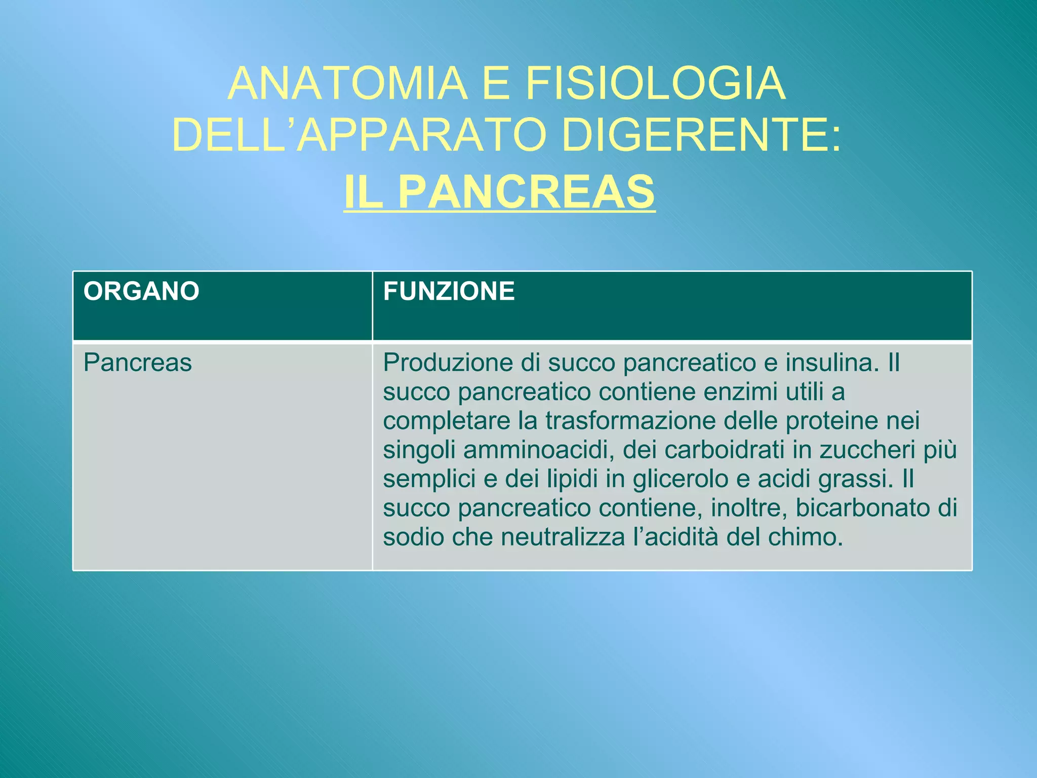 Intestino Fisio | PPT